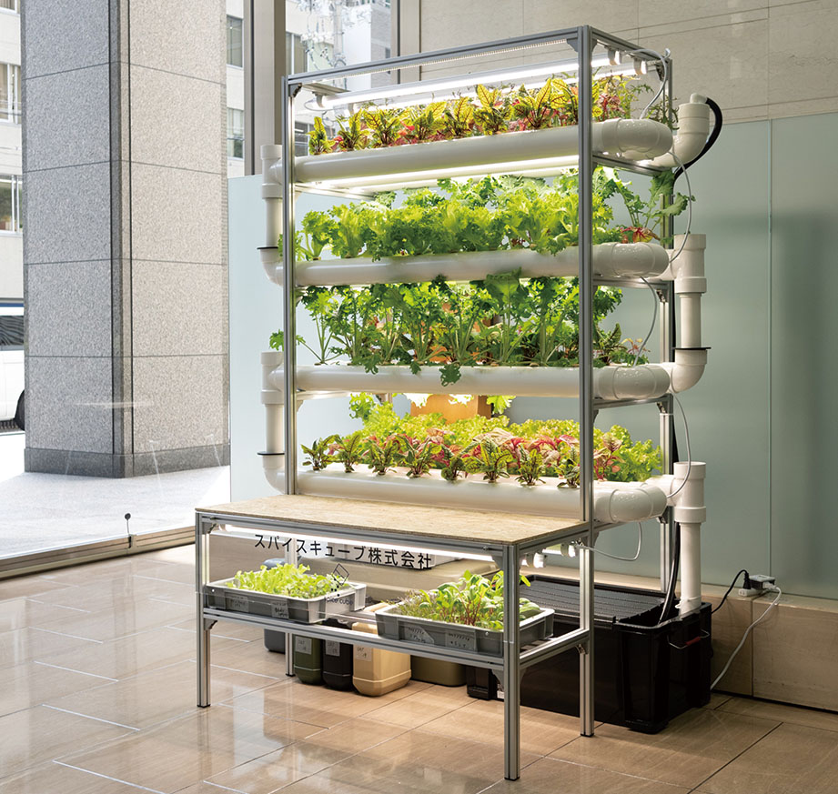 低コスト農業装置と販路開拓支援を展開 小規模植物工場で農業参入を後押し | 2024年5月号 | 事業構想オンライン
